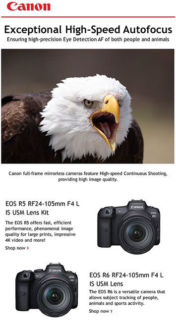 Canon Sales Flyers at Cameragraphics